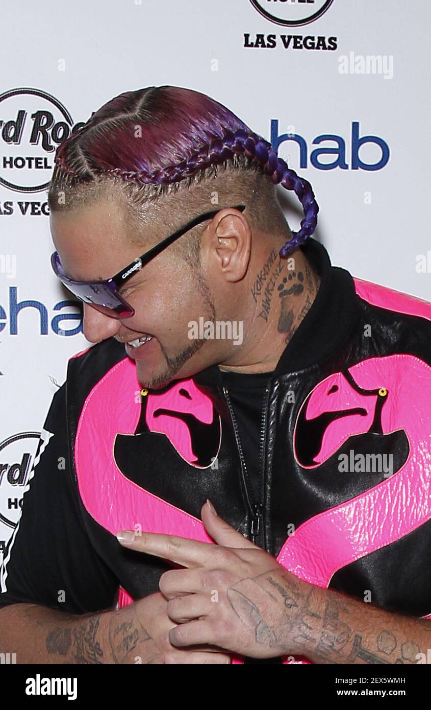 31 May 2015 - Las Vegas, Nevada - Riff Raff. Riff Raff hosts at REHAB ...