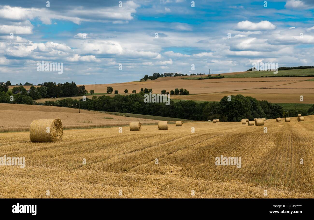 View over the German countryside in Rhineland-Palatinate with hay rolls ...