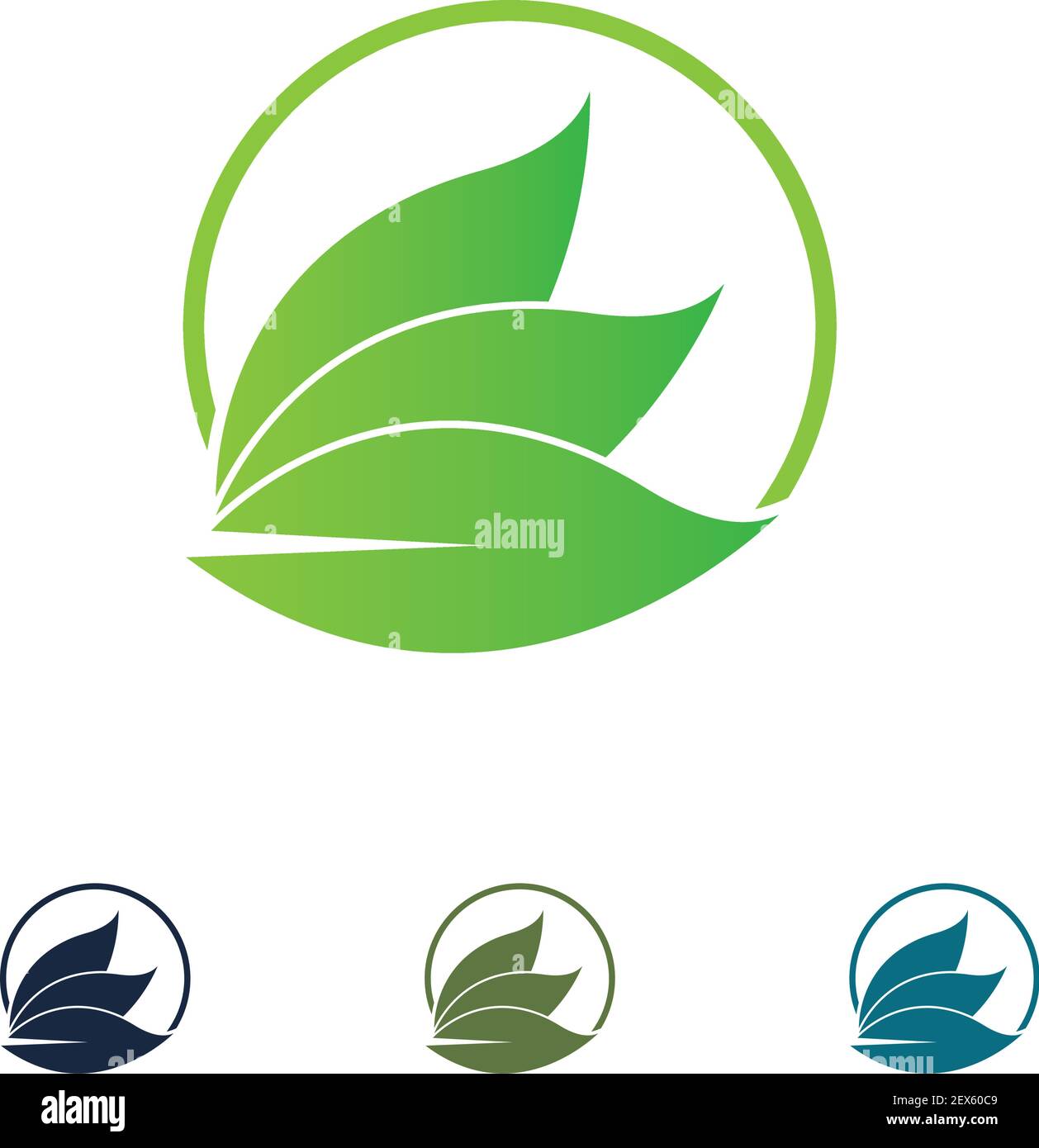 green leaf logo vector Stock Vector Image & Art - Alamy