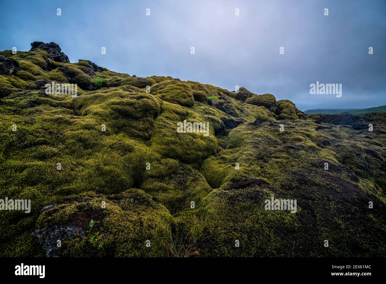 Volcanic ash and lava field in Iceland. Geothermal landscape Stock ...