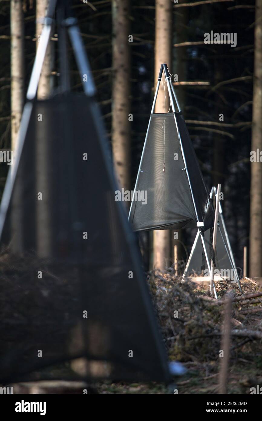 Traps insects hi-res stock photography and images - Alamy