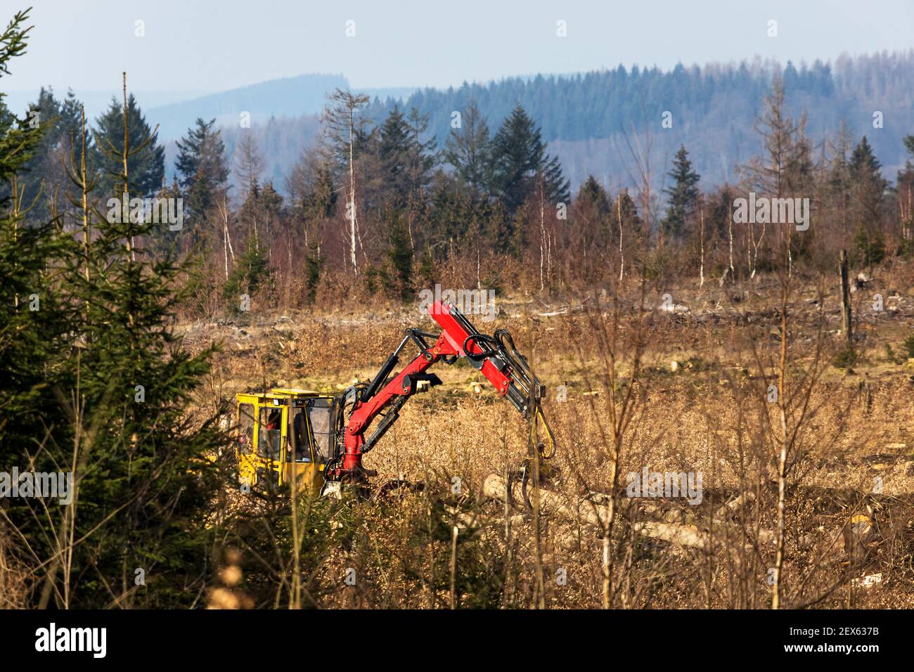 Forest harvester from above hi-res stock photography and images - Alamy