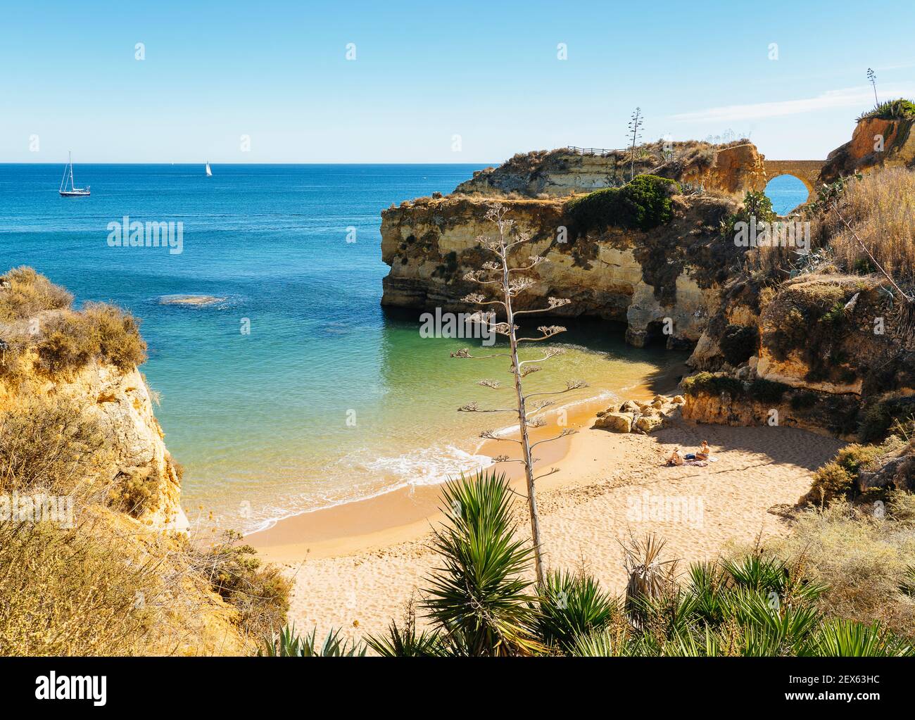 Panoramic view students beach hi-res stock photography and images - Alamy