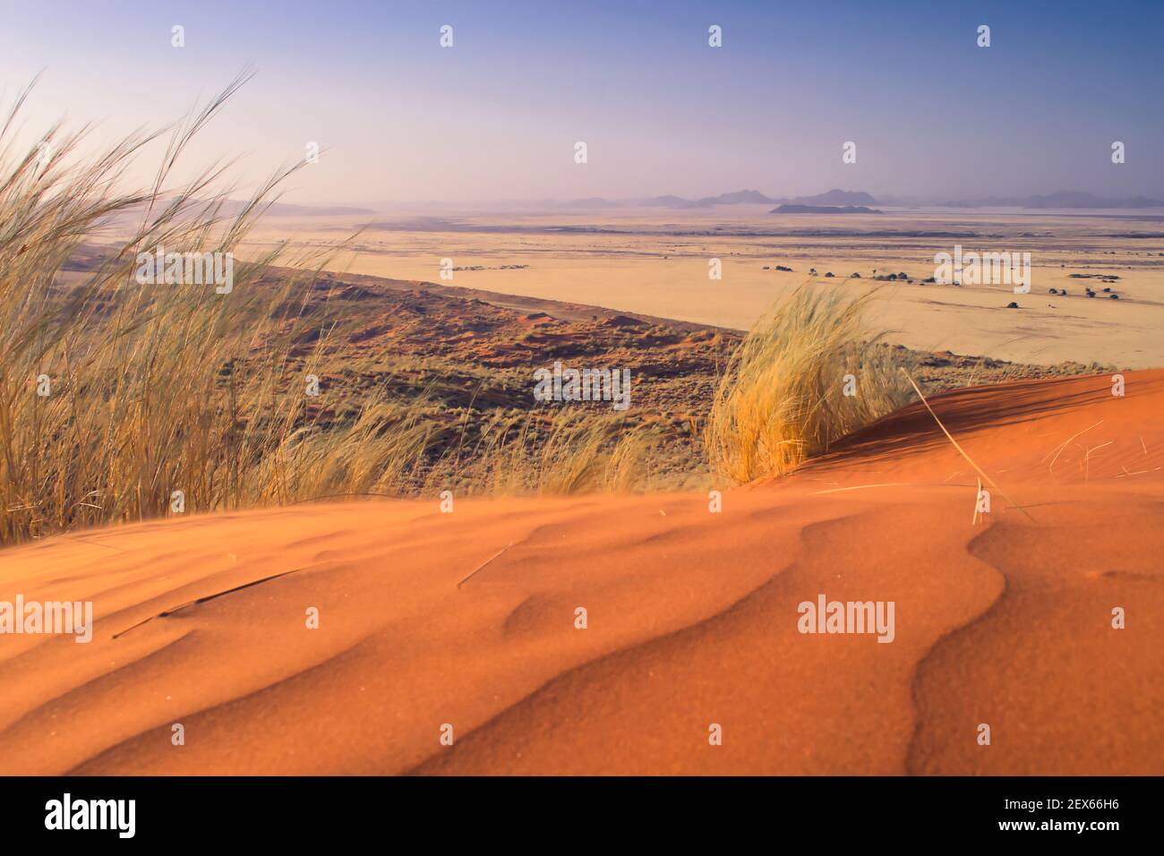 Namibian dune landscape during sunset. Beauty in nature Stock Photo - Alamy