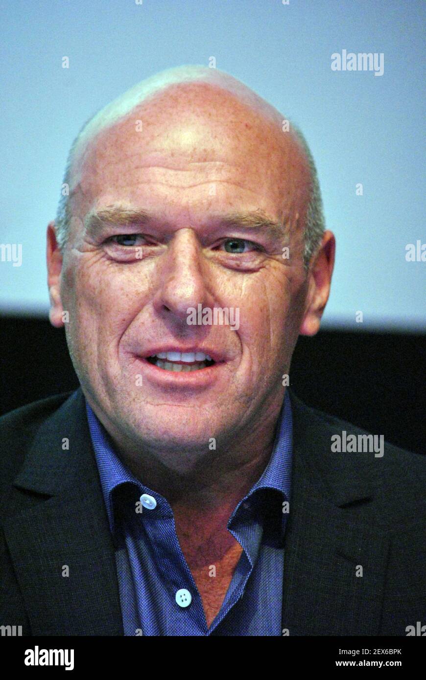 Dean Norris at the Hollywood Foreign Press Association Press Conference ...