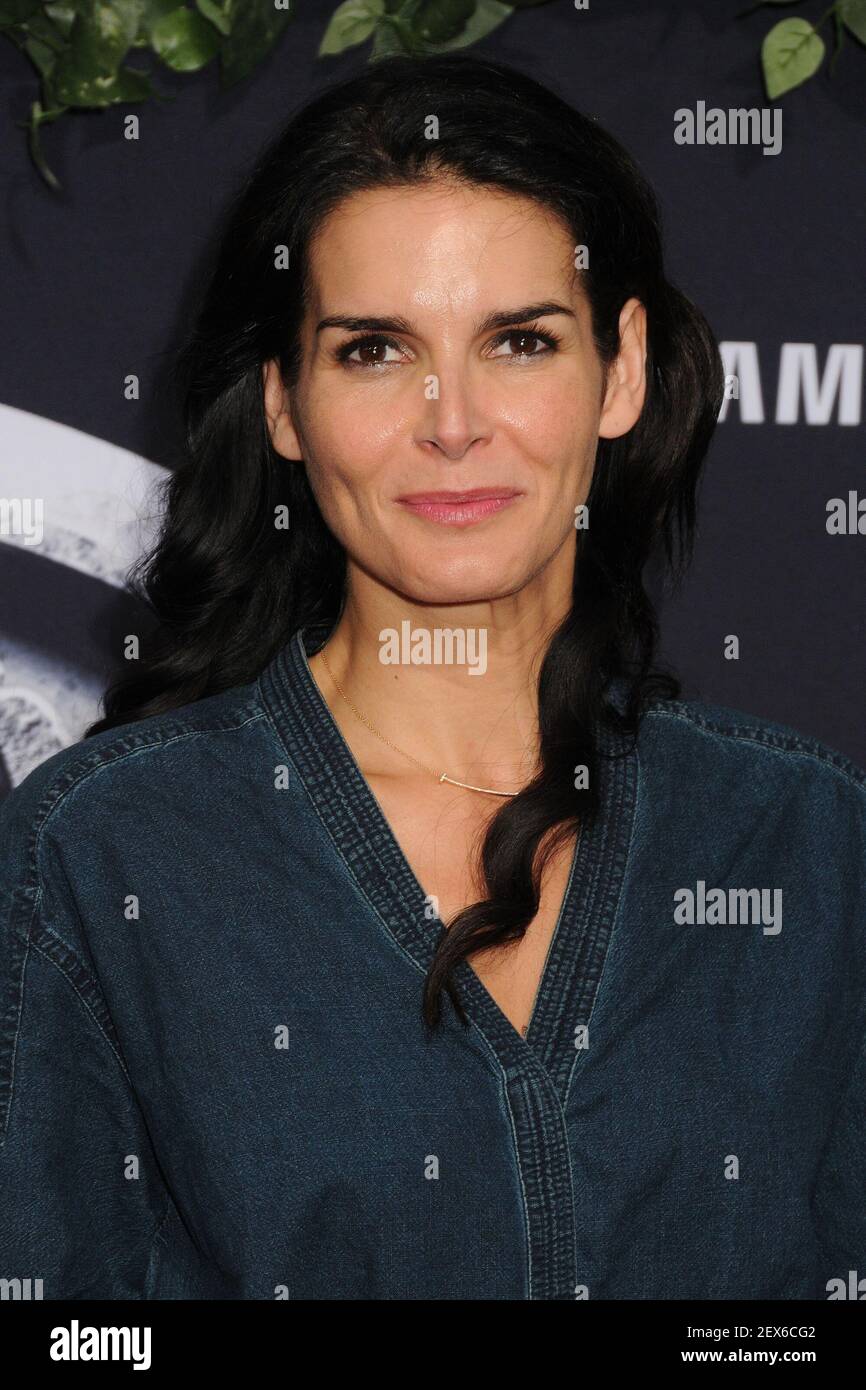 9 June 2015 - Hollywood, California - Angie Harmon. "Jurassic World ...