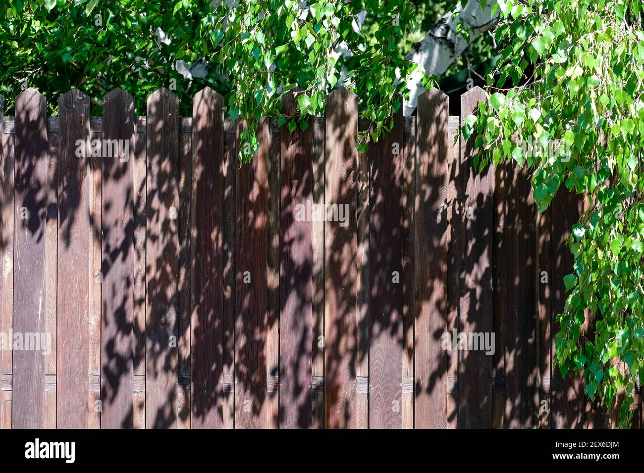Natural branch fence hi-res stock photography and images - Alamy