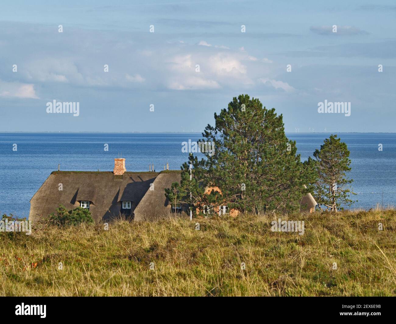 Thatched House at the Sylt Tidelands, Germany Stock Photo - Alamy