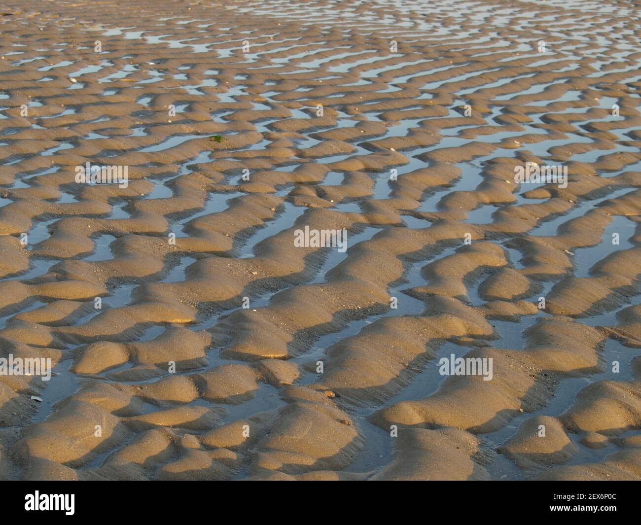 Sea floor bed hi-res stock photography and images - Alamy
