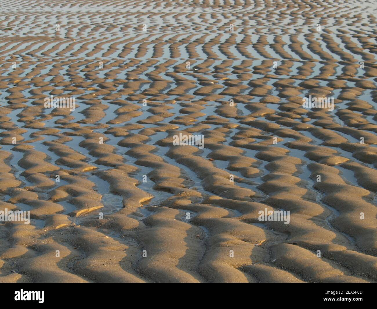 Sea Bed, Germany Stock Photo - Alamy
