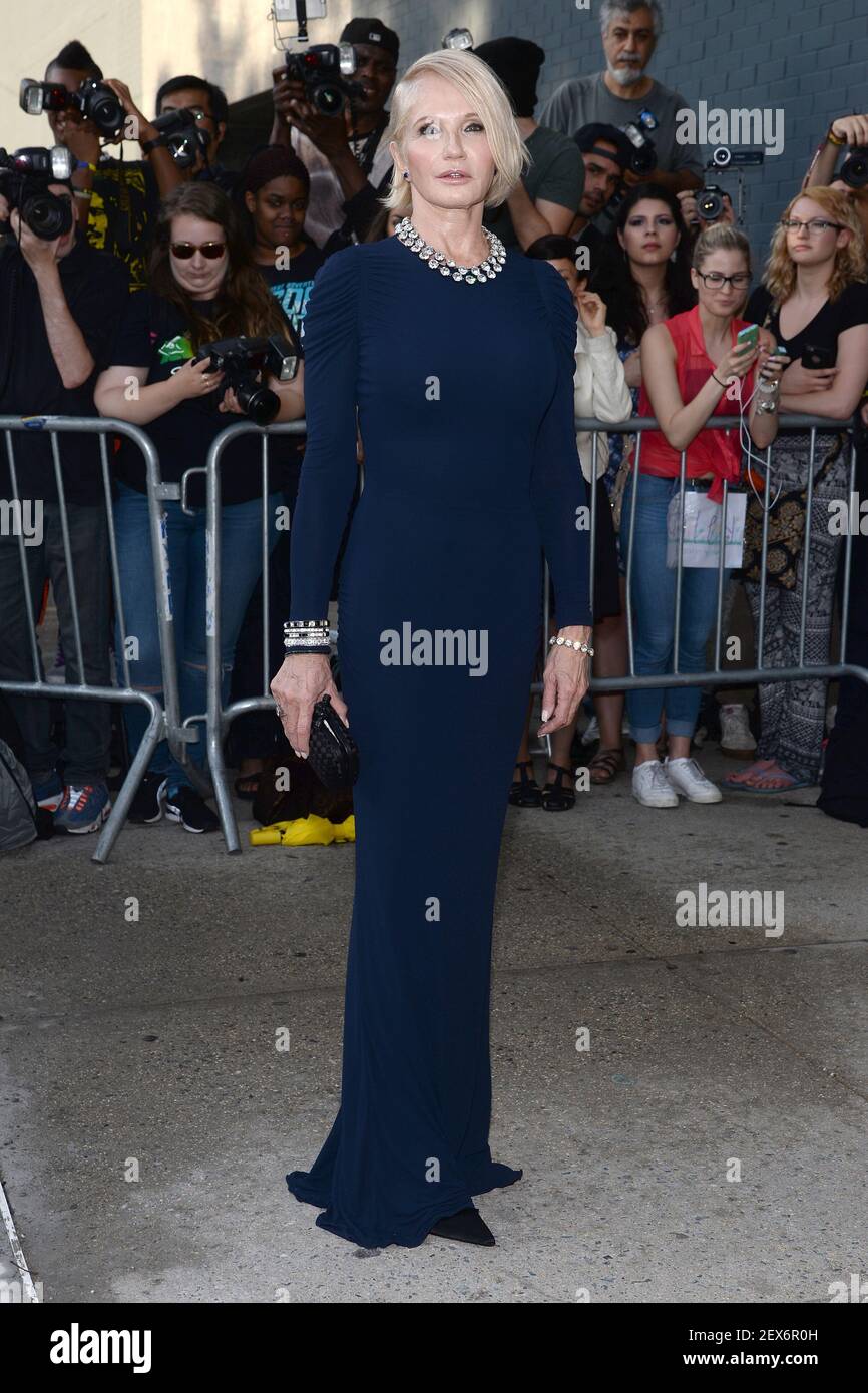 Actress Ellen Barkin attends the amfAR 6th New York Inspiration Gala ...