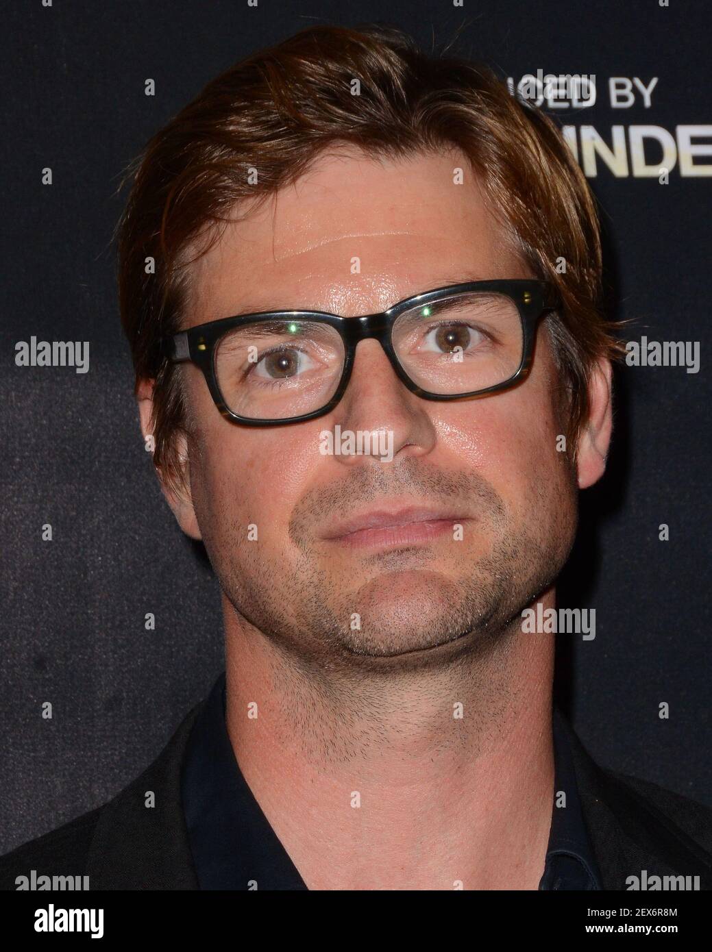 16 June 2015 - Los Angeles, California - Gale Harold. World premiere of ...