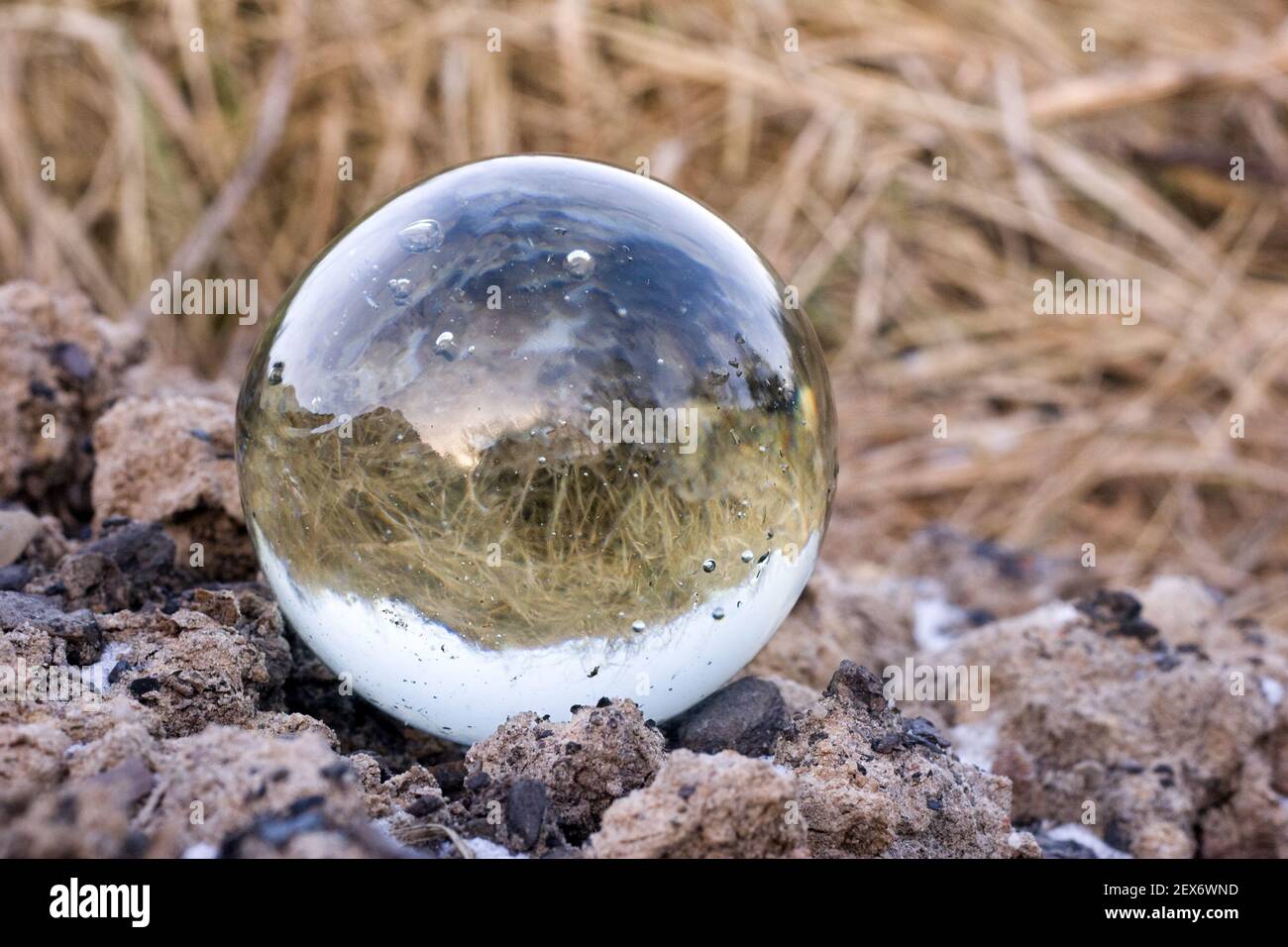 Magic bullet hi-res stock photography and images - Alamy