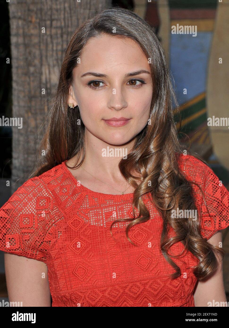 Rachael Leigh Cook arrives at the "Max" Los Angeles Premiere held at ...