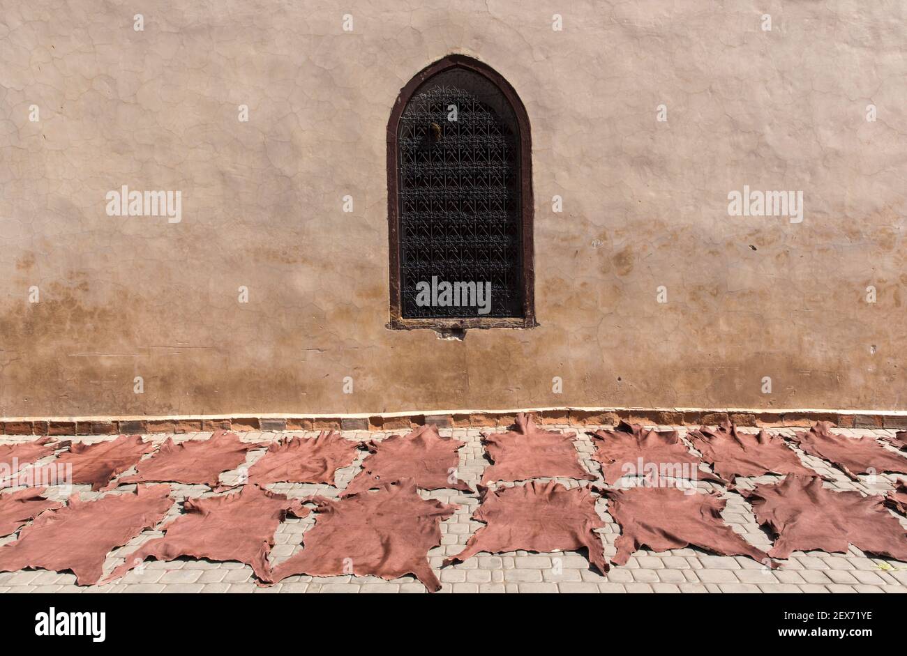 Animal skins hi-res stock photography and images - Alamy