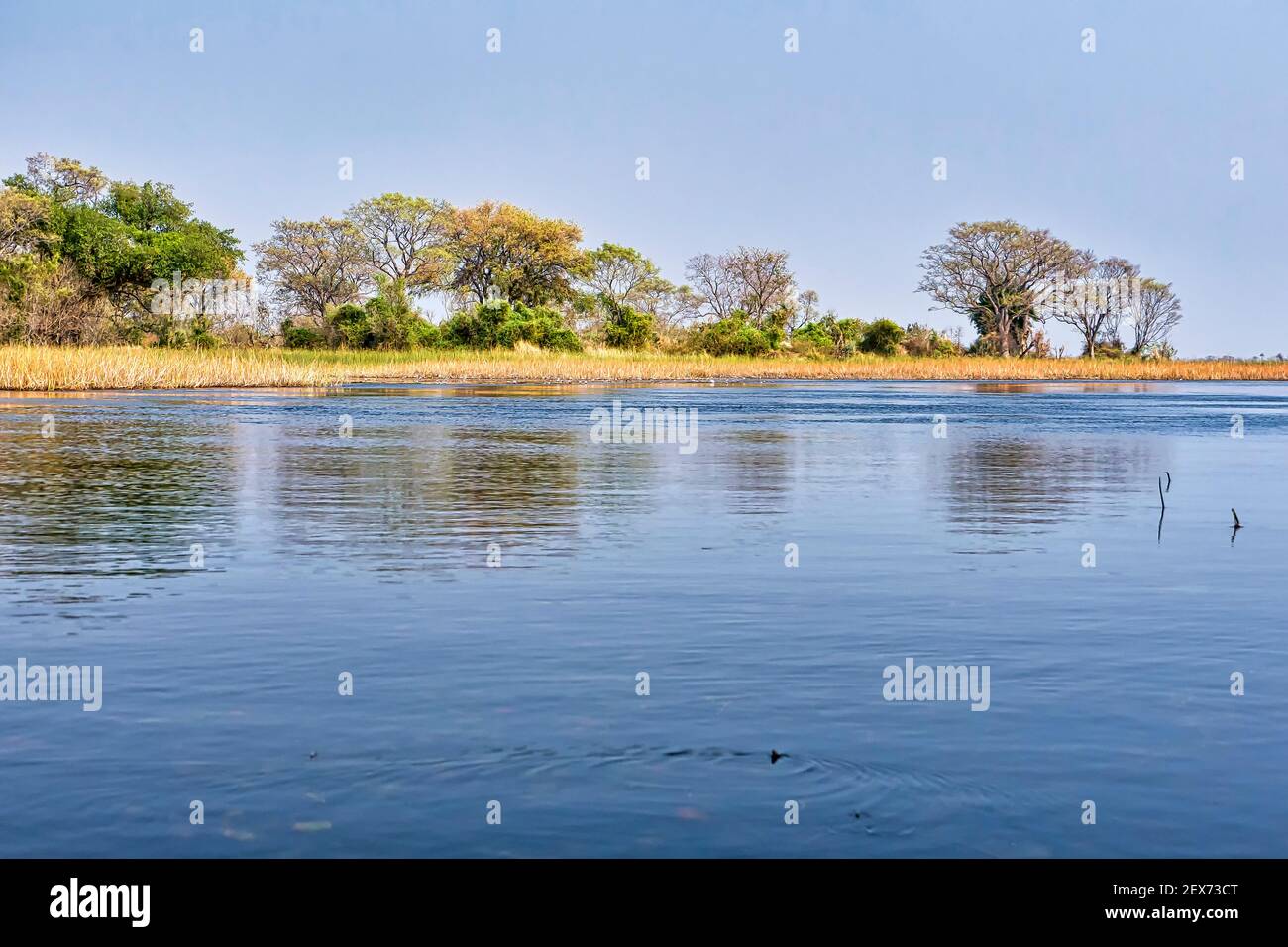 Wetlands Landscape, Okavango Wetlands, Okavango Delta, UNESCO World ...