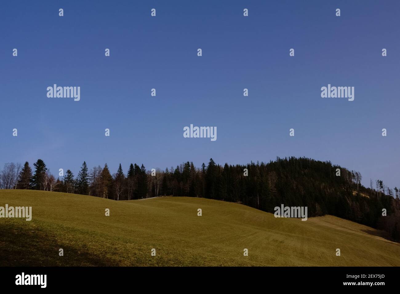 Hilly and green landscape hi-res stock photography and images - Alamy