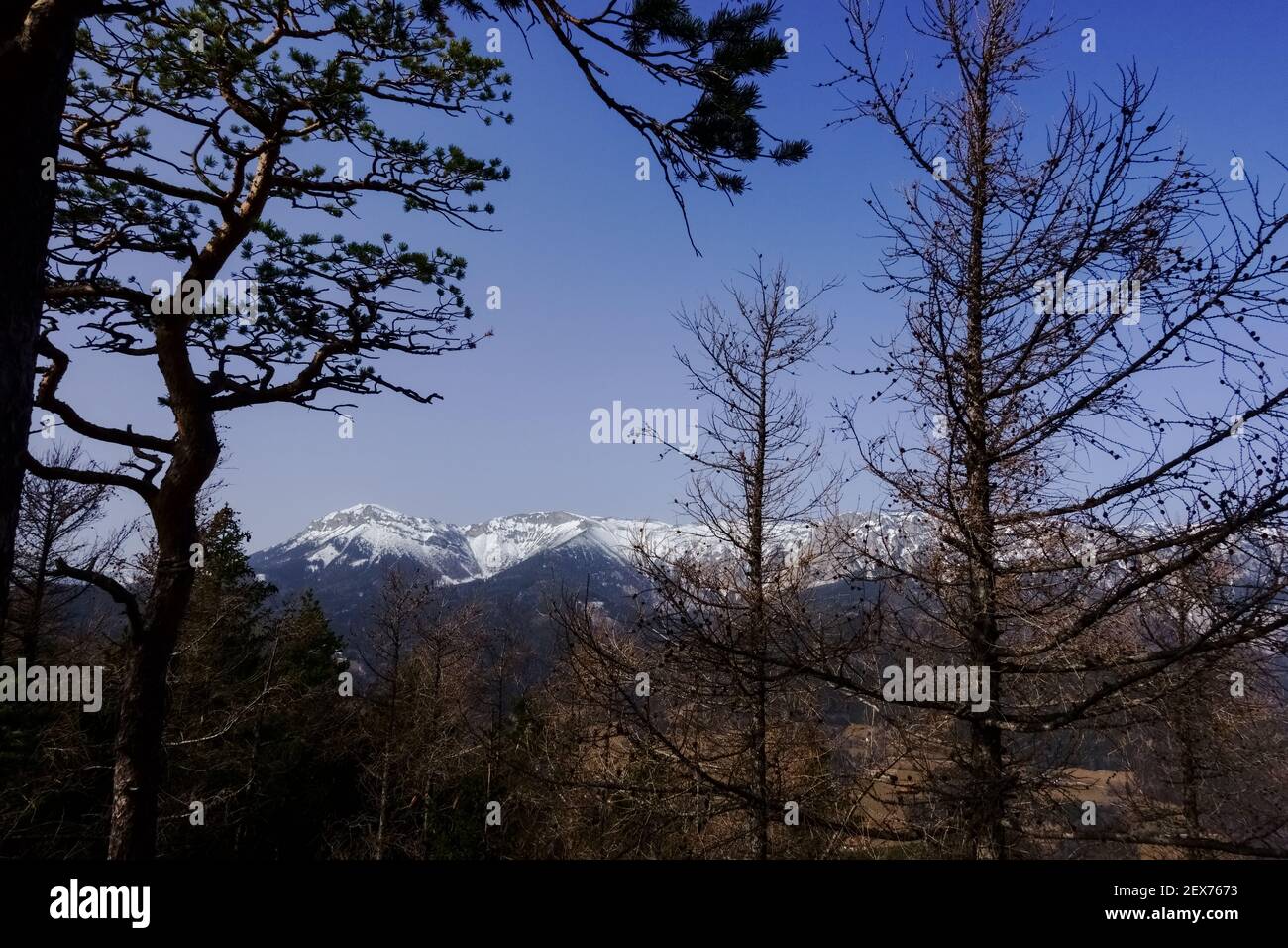 Tree trees mountains hike hi-res stock photography and images - Alamy