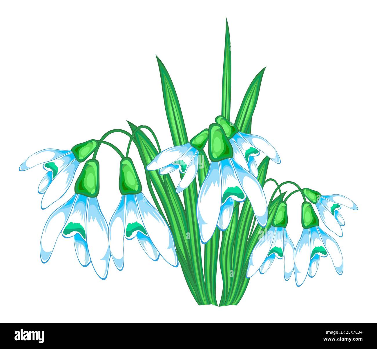 Snowflowers hi-res stock photography and images - Alamy