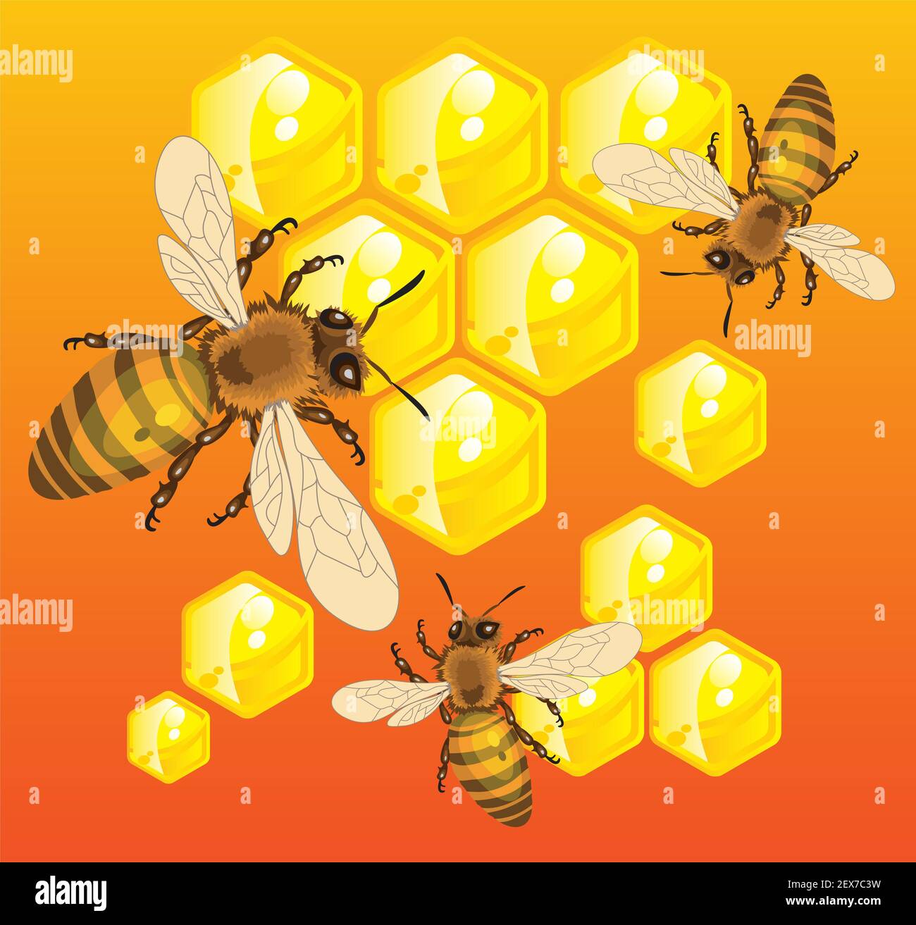 Bees vector hi-res stock photography and images - Alamy