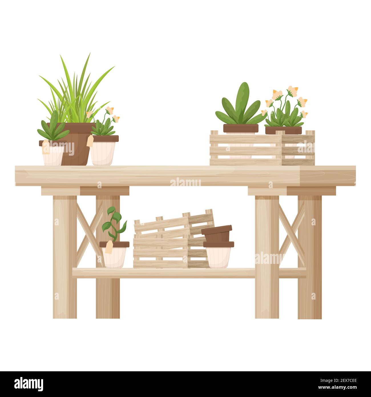 Wooden table with potted plants, flowers, florist shop, orangery ...