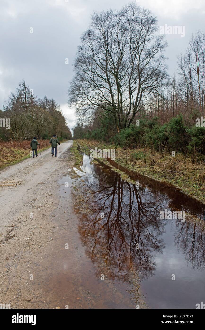 Couple water puddle reflection hi-res stock photography and images - Alamy