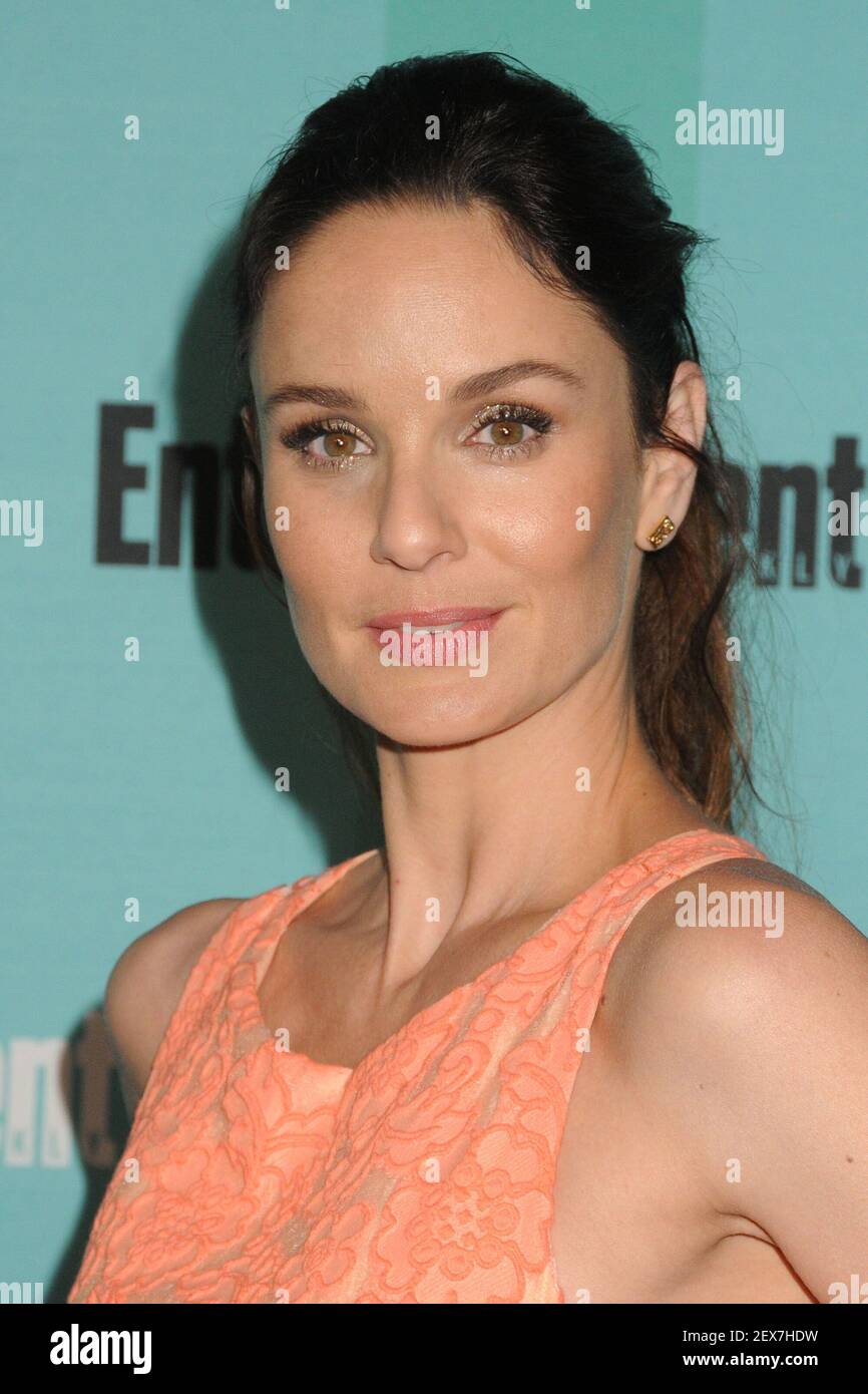 11 July 2015 - San Diego, California - Sarah Wayne Callies ...