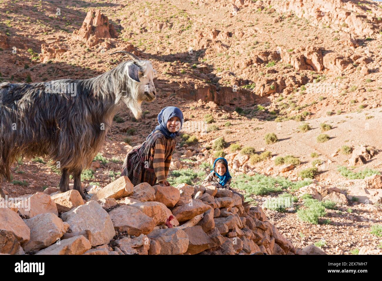 Berber nomad children with goat in barren desert landscape Stock Photo ...