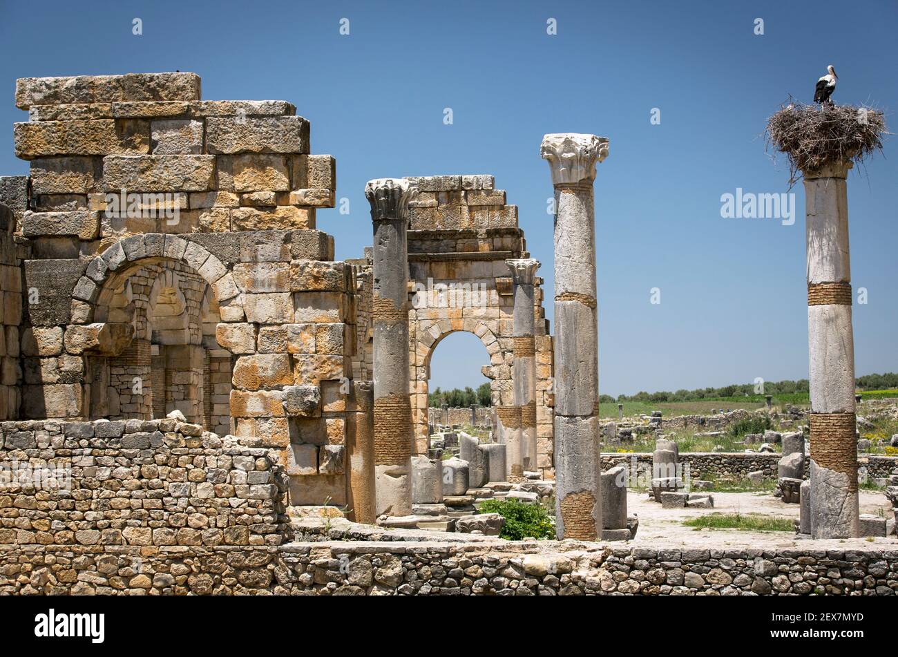 History of roman empire hi-res stock photography and images - Alamy