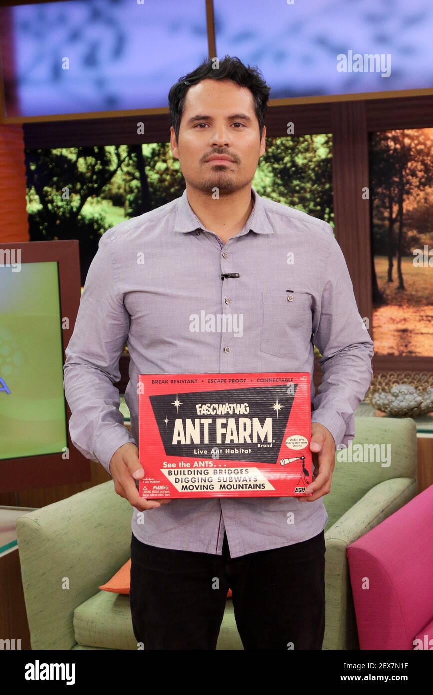MIAMI, FL - JULY 15: Actor Michael Peâ€“a is seen during "Despierta ...