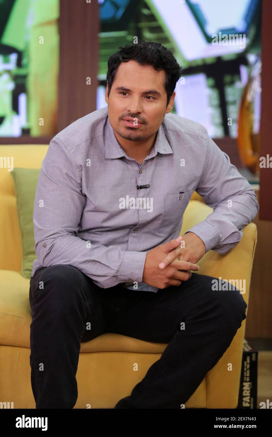 MIAMI, FL - JULY 15: Actor Michael Peâ€“a is seen during "Despierta ...