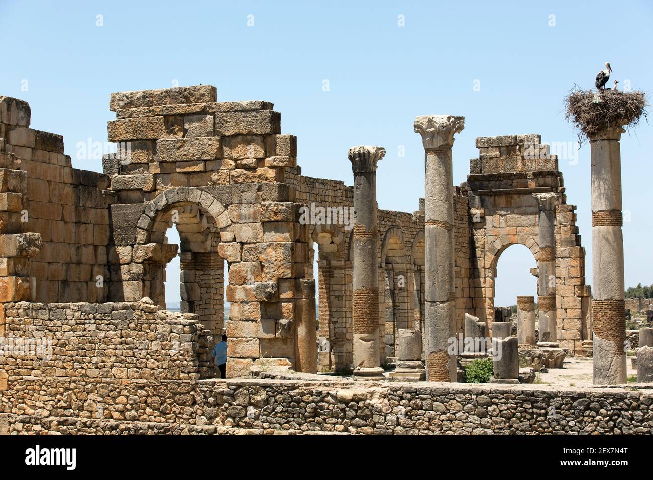Morocco, Meknes, Volubilis, Roman ruins circa 3 BC to AD 40, the ...