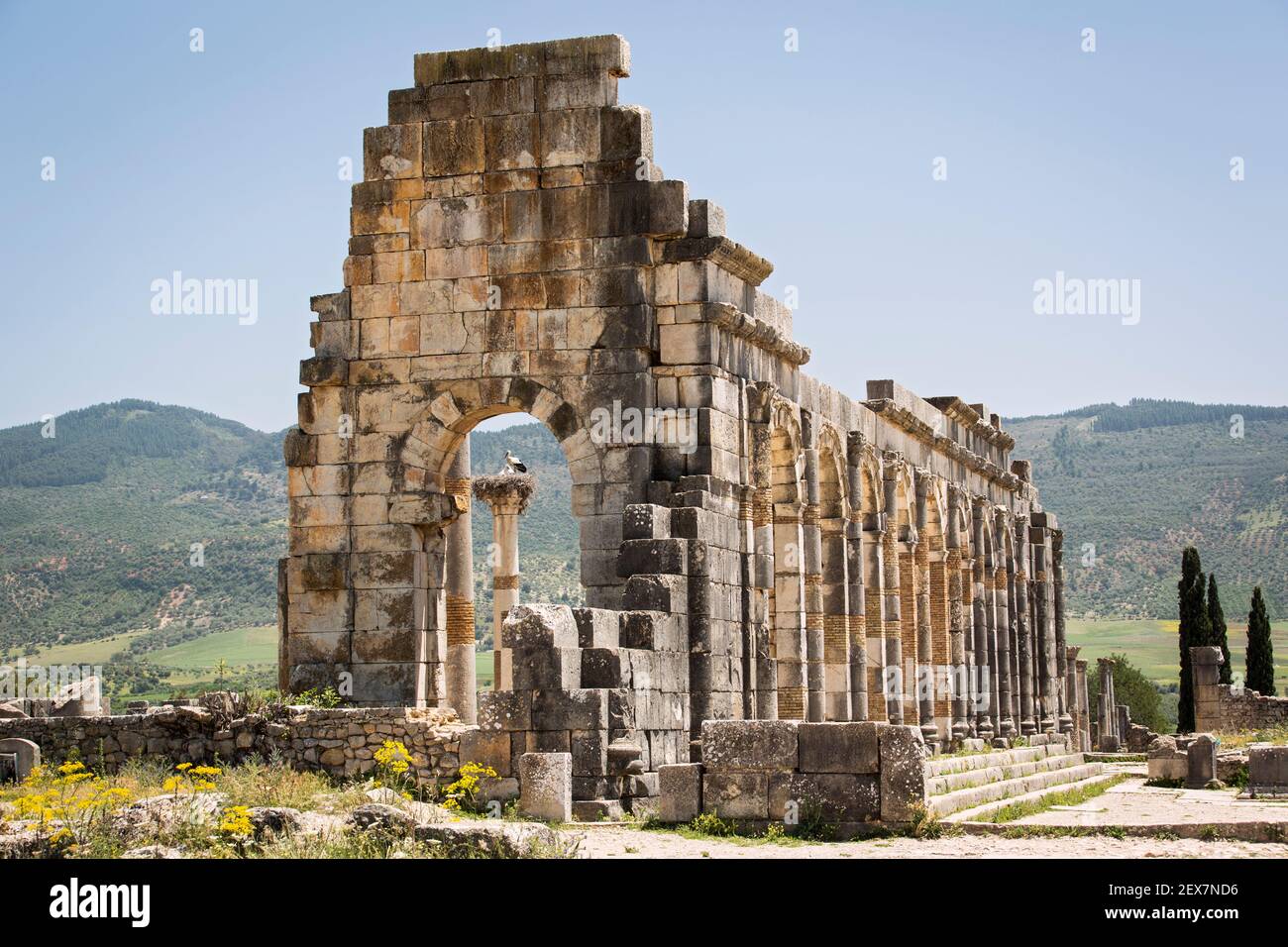 Morocco,near Meknes, Volubilis, Roman ruins circa AD 40 Stock Photo - Alamy