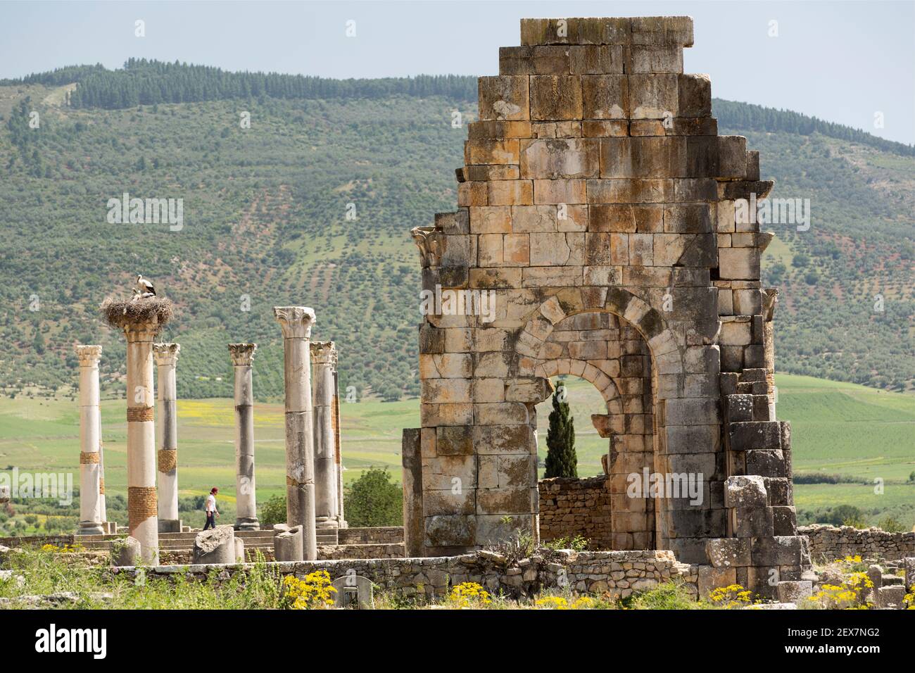 Morocco, Meknes, Volubilis, Roman ruins circa 3 BC to AD 40, the ...