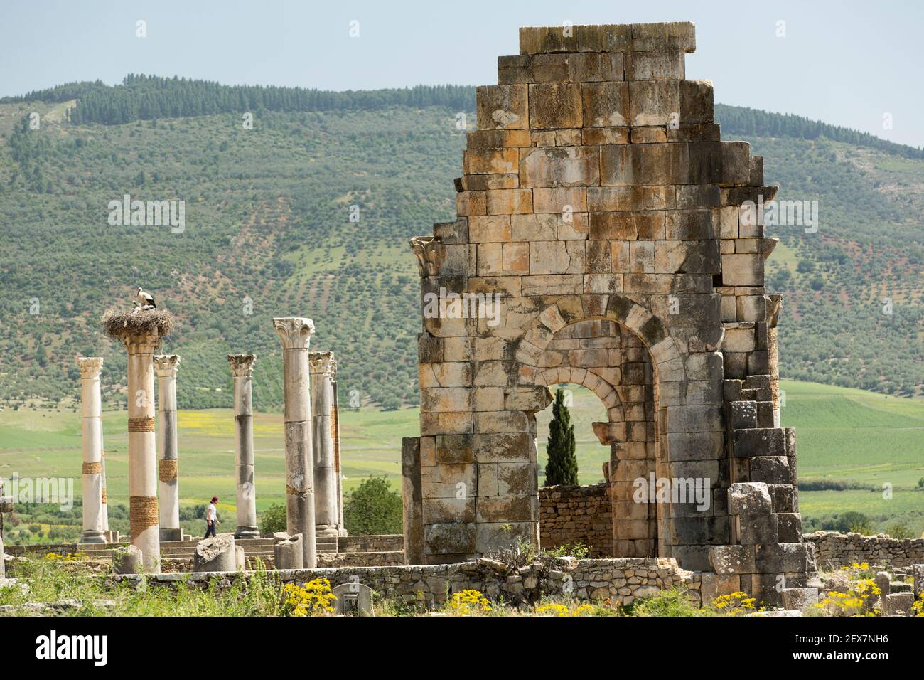 Morocco, Meknes, Volubilis, Roman ruins circa 3 BC to AD 40, the ...