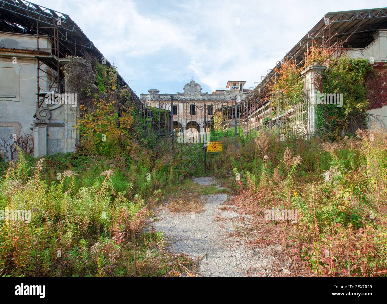 driveway in old abandoned factory overgrown with weeds Stock Photo - Alamy