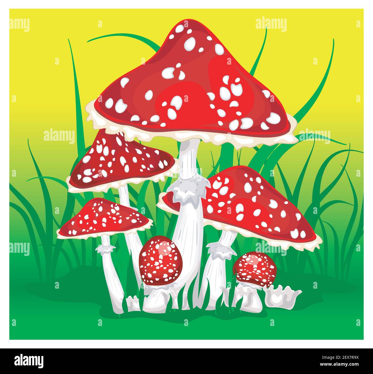 Mushroom fly Cut Out Stock Images & Pictures - Alamy