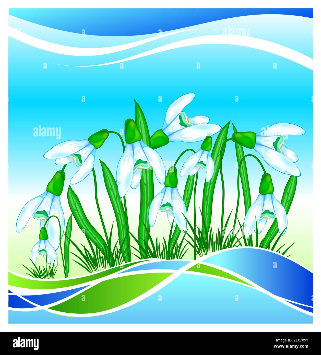 Bouquet of snowdrops Cut Out Stock Images & Pictures - Alamy