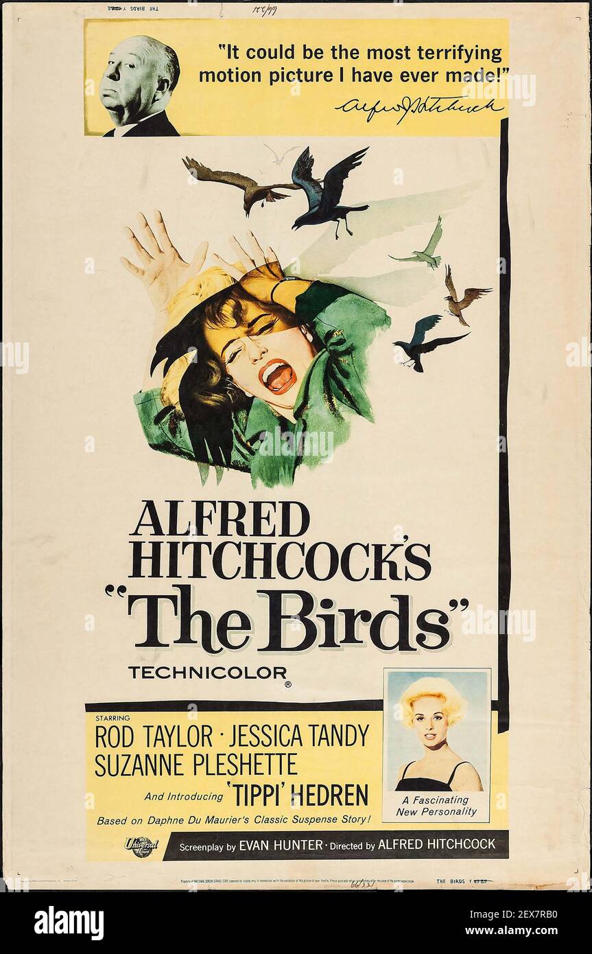 The Birds Tippi Hedren High Resolution Stock Photography and Images - Alamy