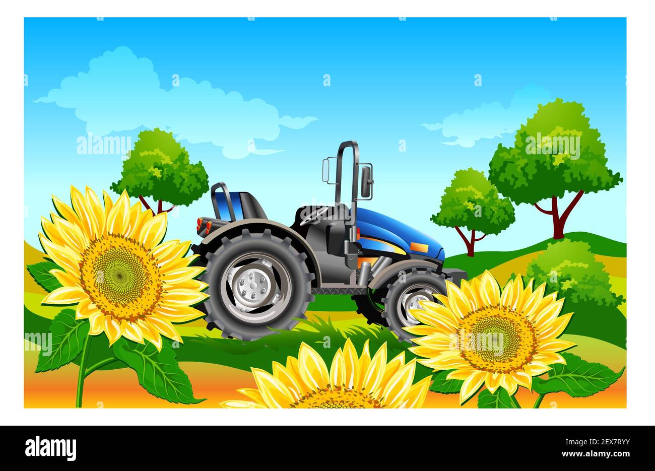 Green agricultural field on Cut Out Stock Images & Pictures - Alamy