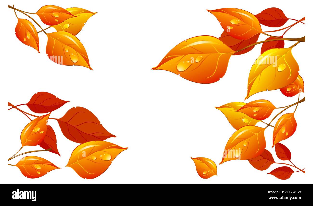 Rain leaves Cut Out Stock Images & Pictures - Alamy