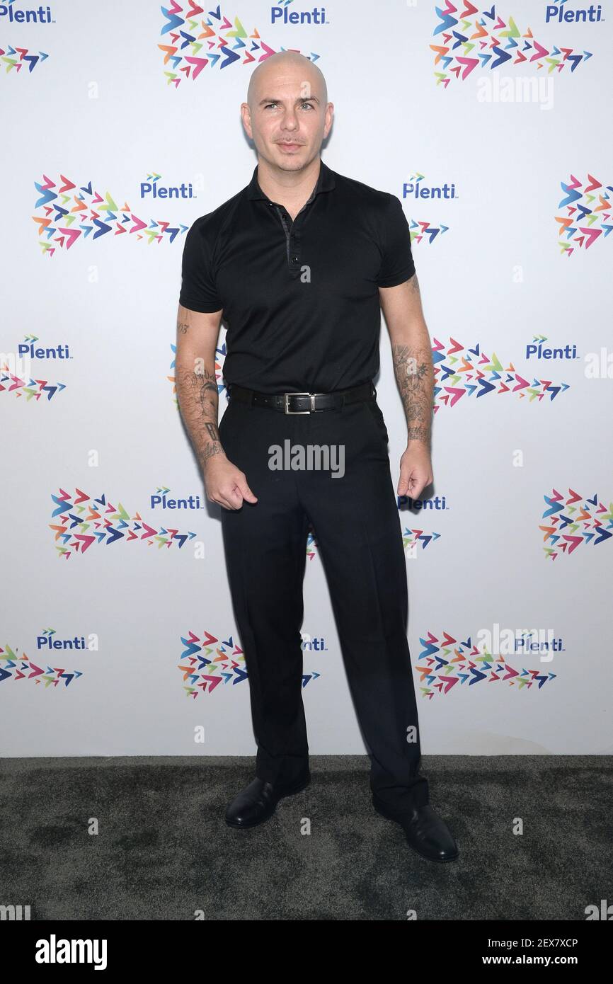 Musician Pitbull attends the "PlentiTogether" Live concert event at the ...