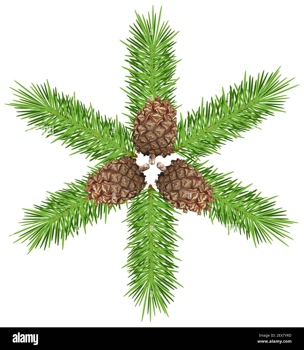 Fruit cones Cut Out Stock Images & Pictures - Alamy