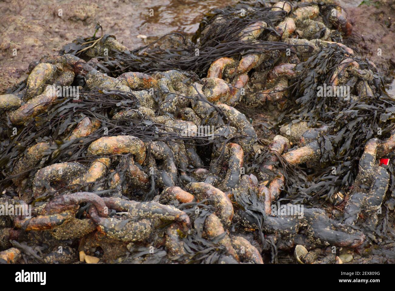 Old flotsum hi-res stock photography and images - Alamy