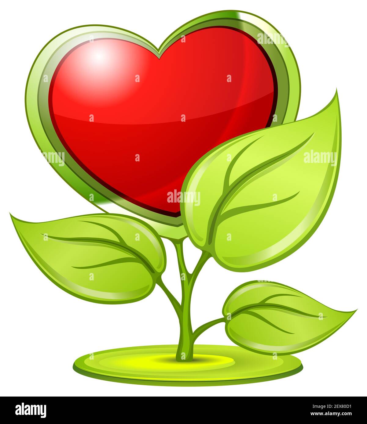 Plant with heart Cut Out Stock Images & Pictures - Alamy