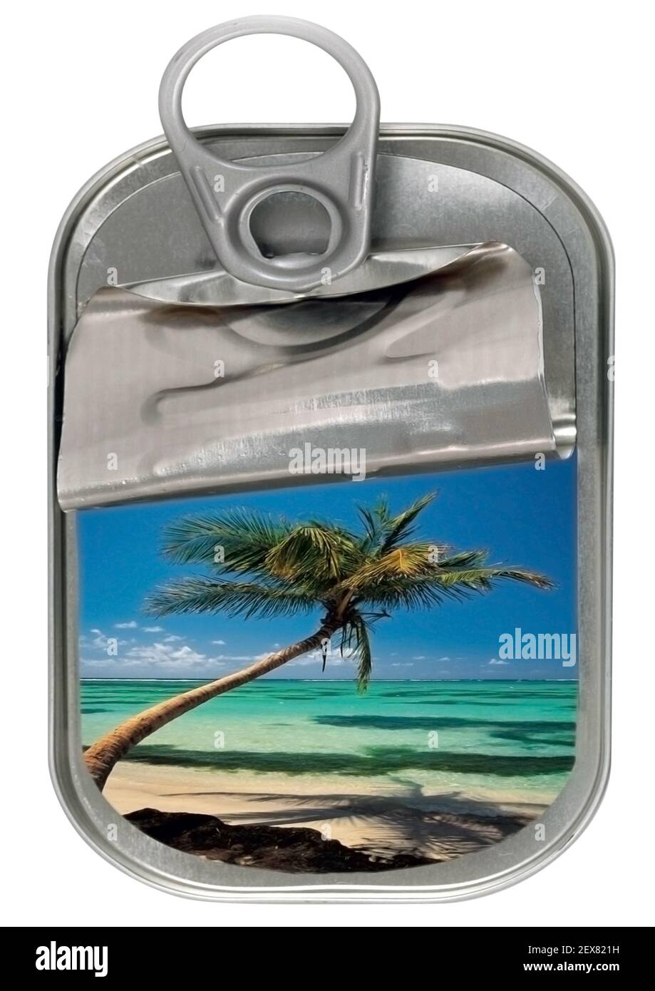 Caribbean ocean palm trees Cut Out Stock Images & Pictures - Alamy