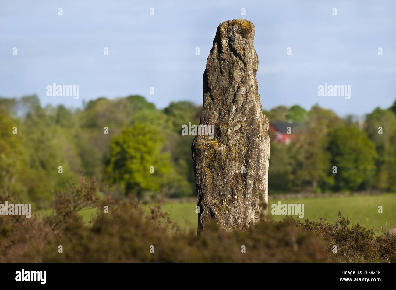 Menhir sweden hi-res stock photography and images - Alamy