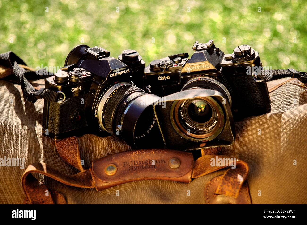 Two Olympus 35 mm film single lens reflex cameras sitting on a ...