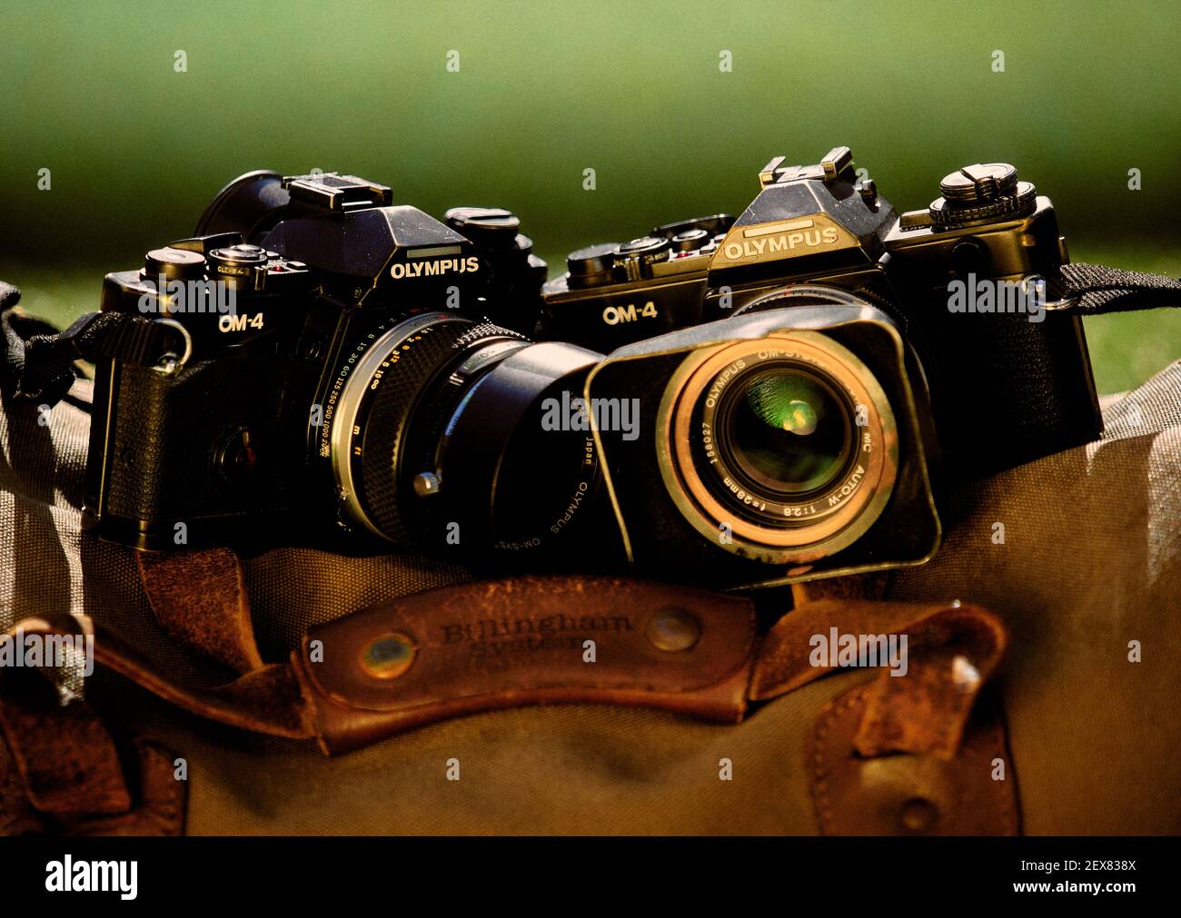 Two Olympus 35 mm film single lens reflex cameras sitting on a ...