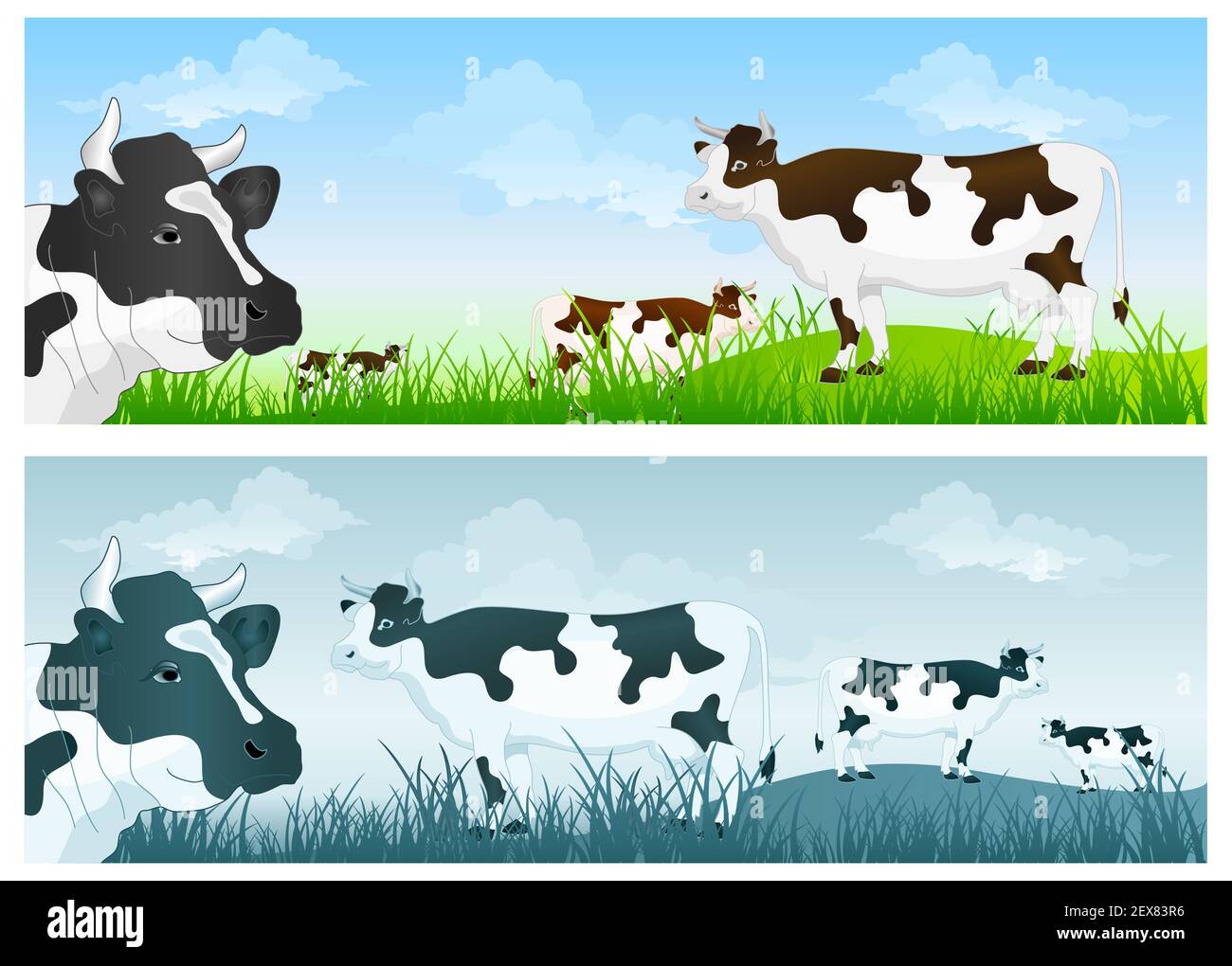 Grazing cow Cut Out Stock Images & Pictures - Alamy